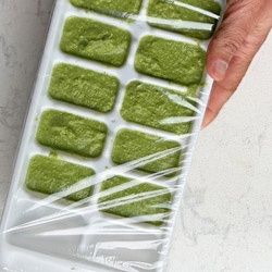 Cilantro Mint Chutney - How to Freeze Chutney -Coriander Chutney Cubes