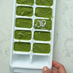 Cilantro Mint Chutney - How to Freeze Chutney -Coriander Chutney Cubes