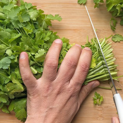 How to Store Cilantro (coriander leaves) - Fresh for more than 2 Weeks