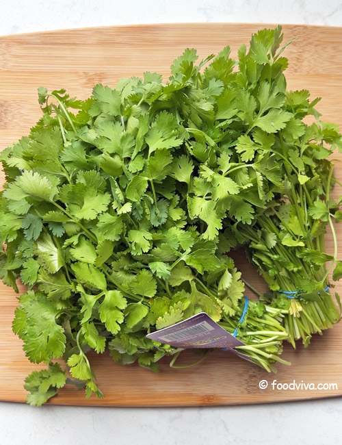 How to Store Cilantro (coriander leaves) - Fresh for more than 2 Weeks